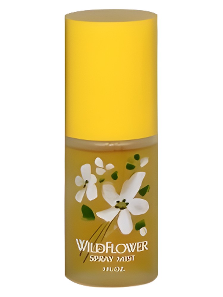 Wildflower Alyssa Ashley perfume - a fragrance for women