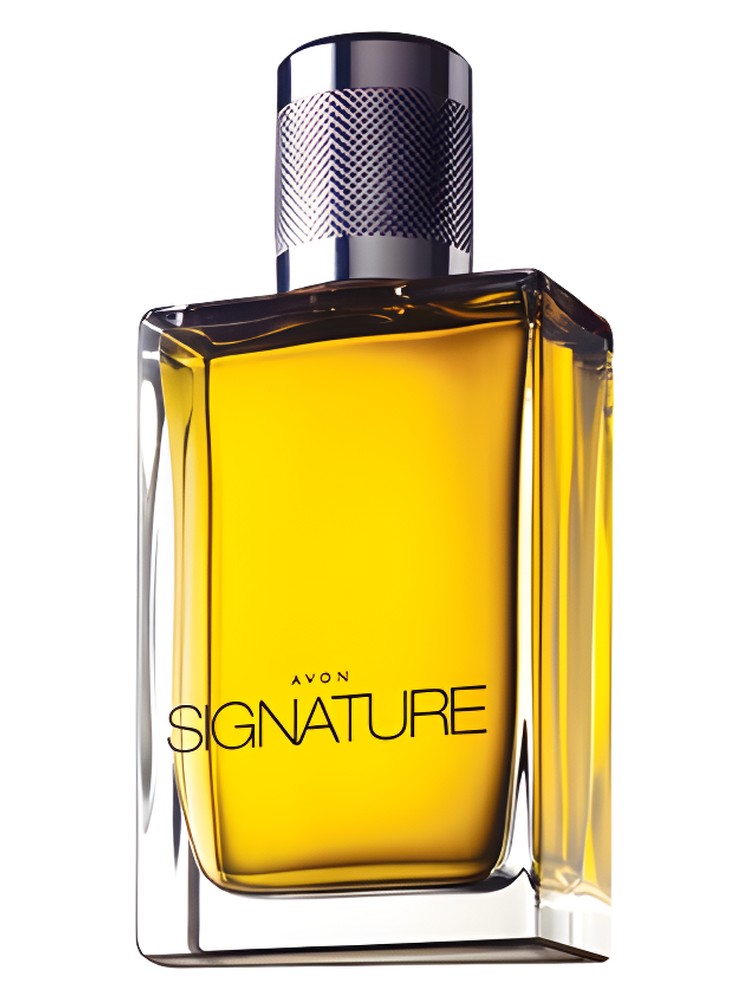 Signature Avon cologne - a fragrance for men 2008