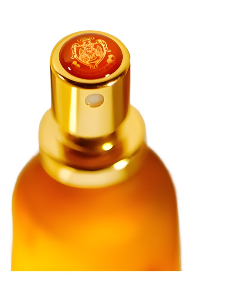 Aqua Moresca Florian perfume - a fragrance for women and men