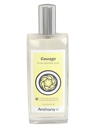 Courage Anthony Logistics cologne - a fragrance for men 2005