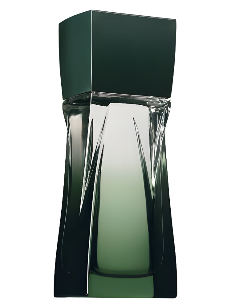 Avon Essence Avon cologne - a fragrance for men