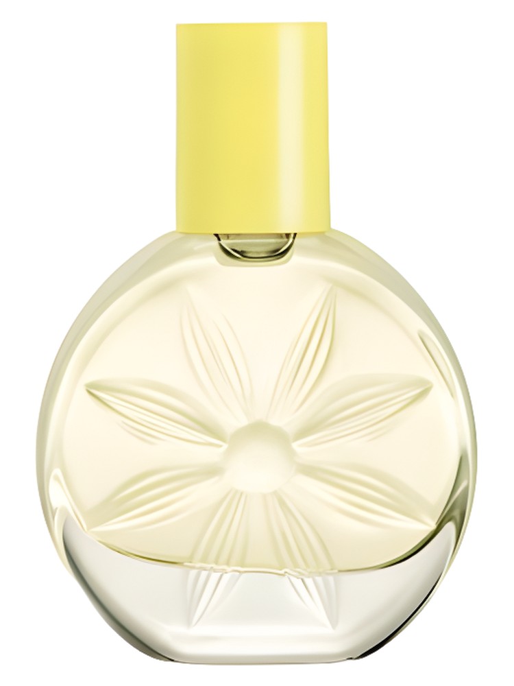 Be... Joyful Avon perfume - a fragrance for women 2013