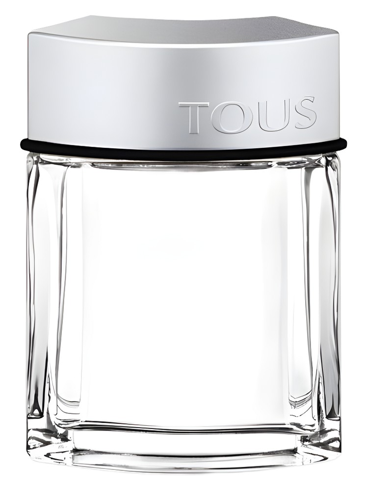 Tous Man Tous cologne - a fragrance for men 2004