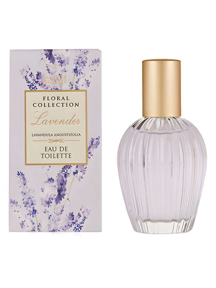 Lavender Marks & Spencer perfume - a fragrance for women
