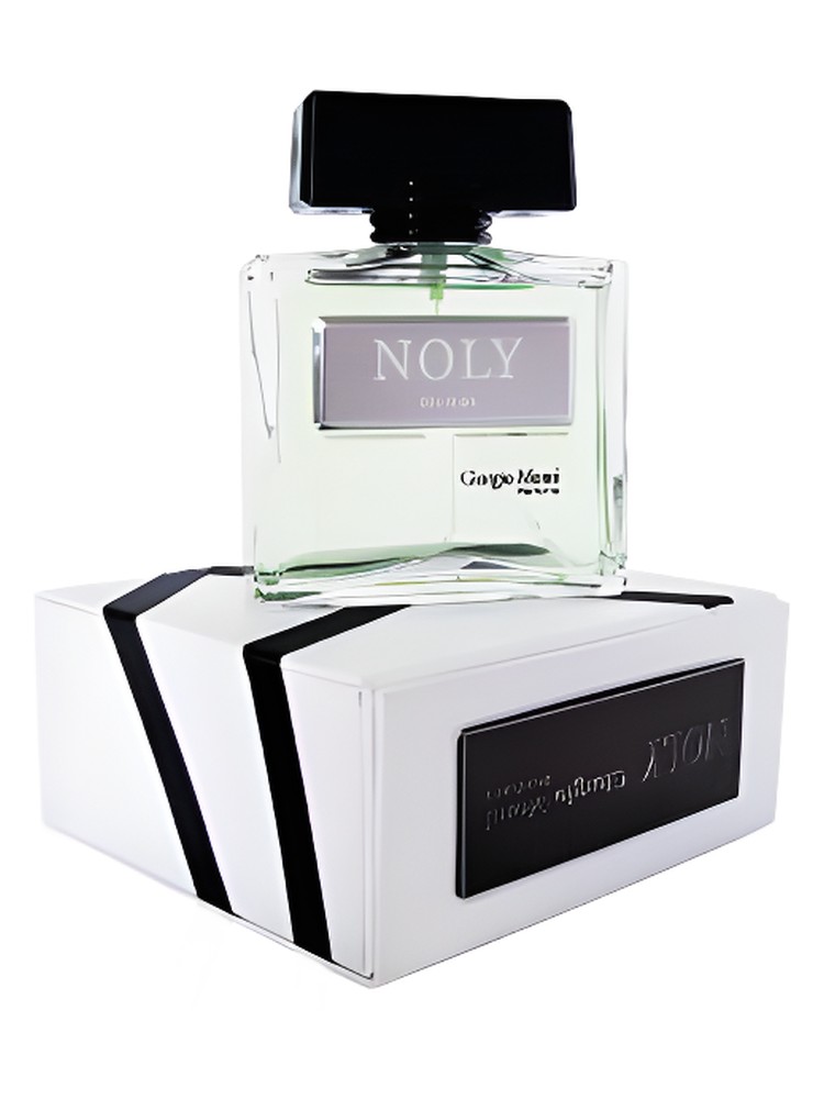 Noly Giorgio Monti cologne - a fragrance for men