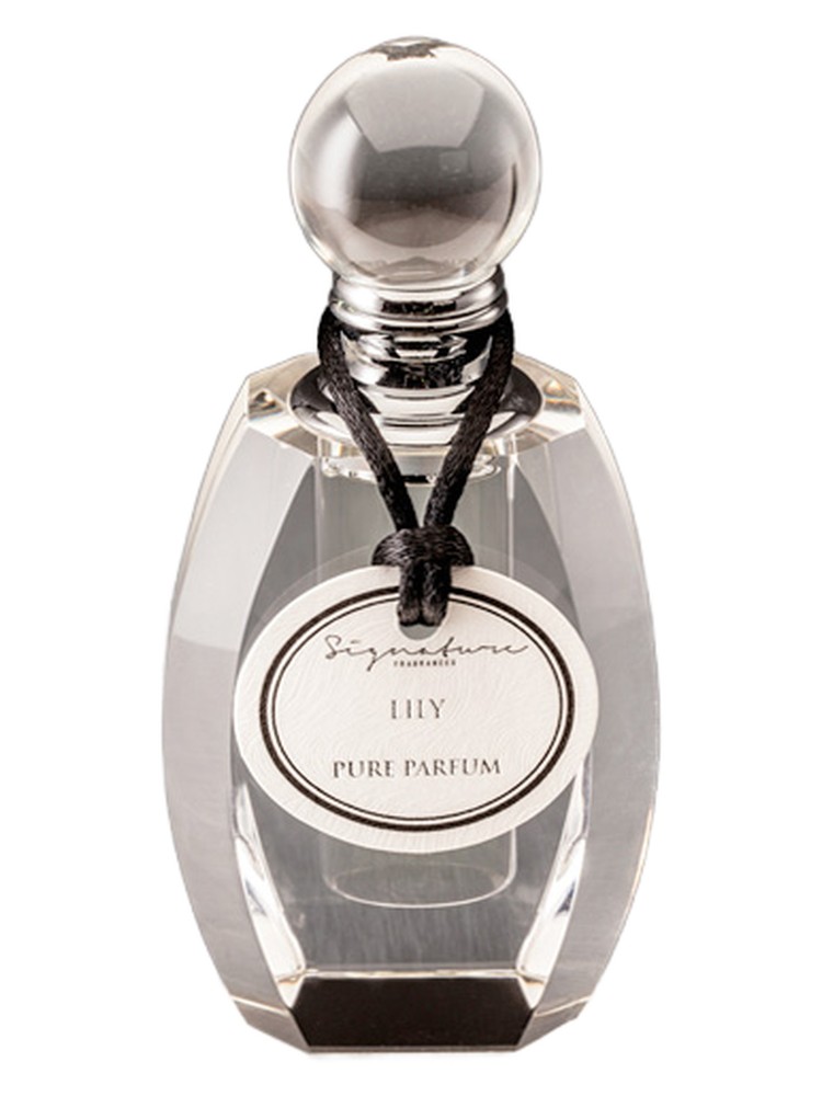 Lily Signature Fragrances perfume - a fragrance for women 2014