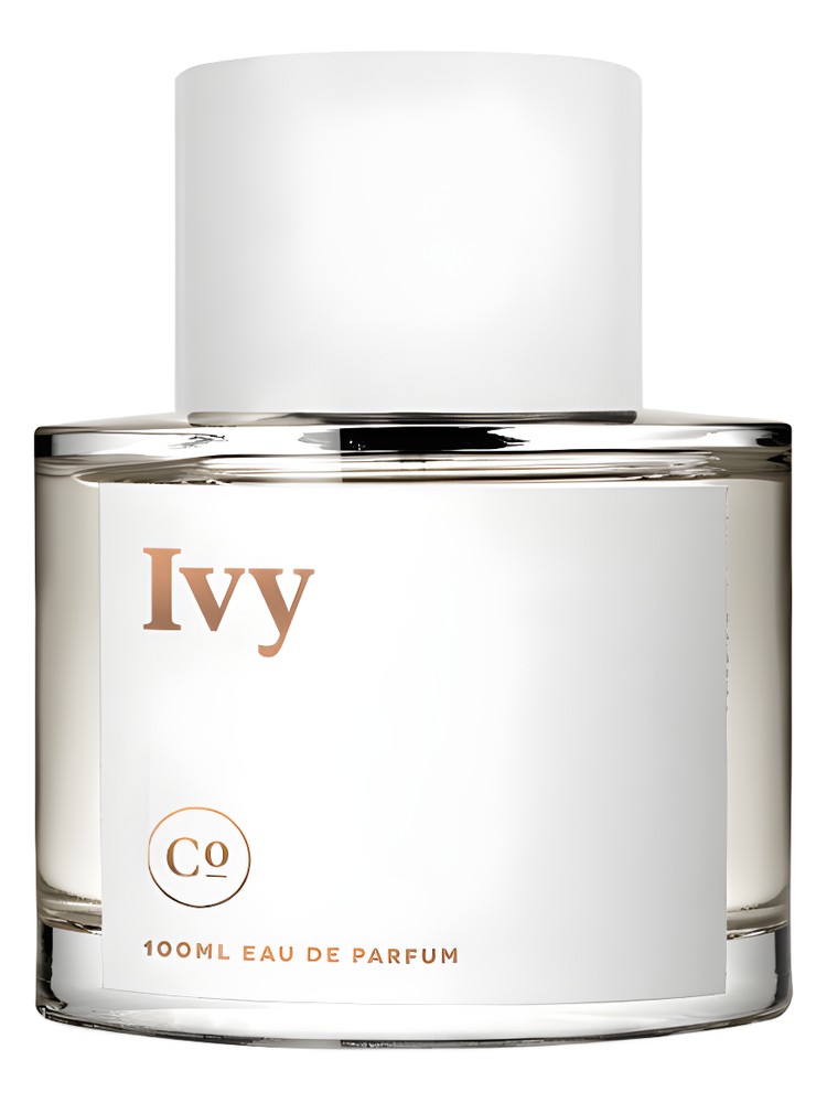 Ivy Commodity perfume - a fragrance for women 2013