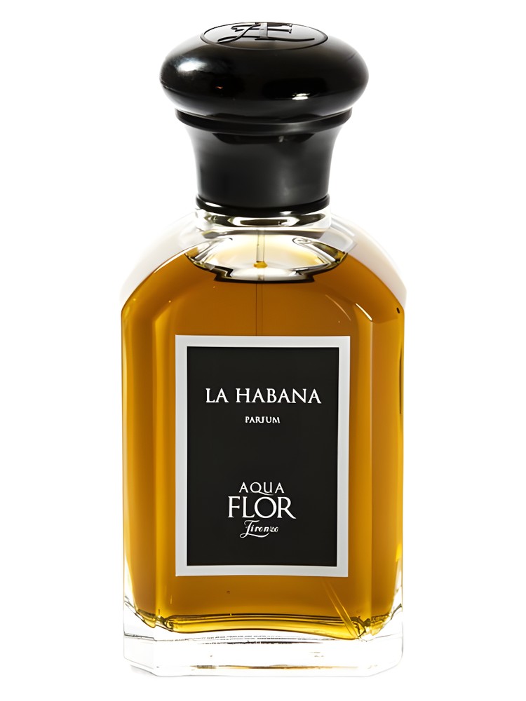 La Habana Aquaflor Firenze perfume - a fragrance for women and men