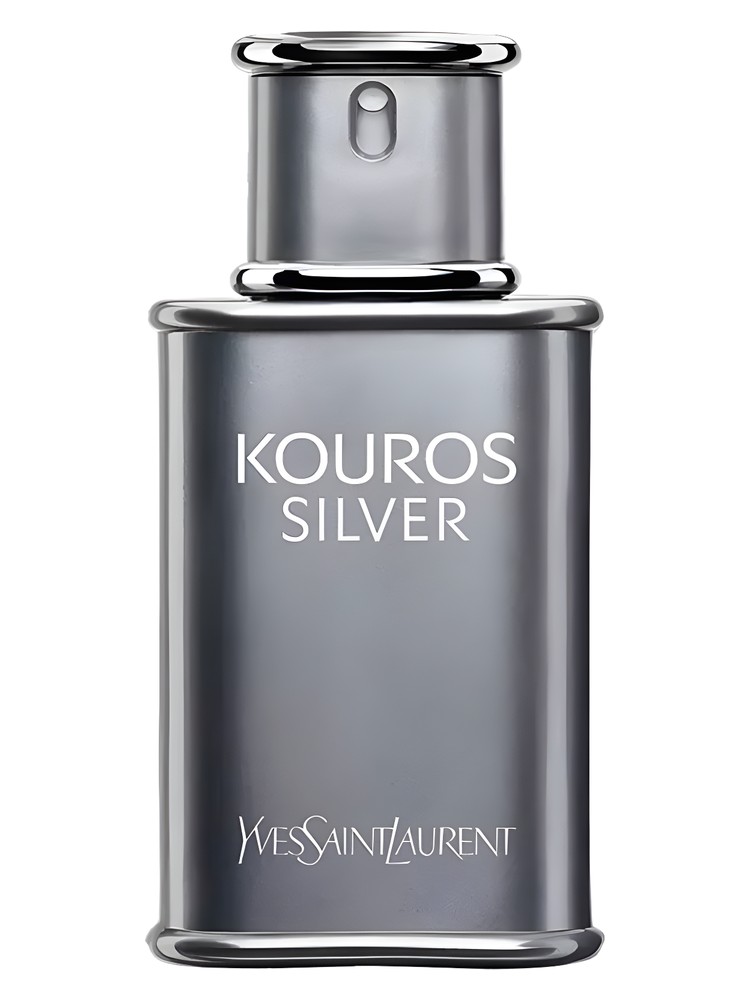 Yves Saint Laurent Kouros Silver Yves Saint Laurent Kolonjska voda ...