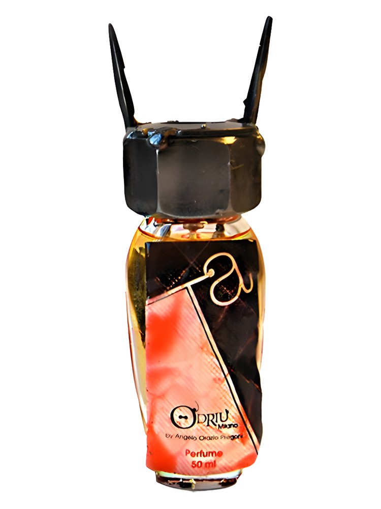 Ta O'Driu perfume - a fragrance for women and men 2015