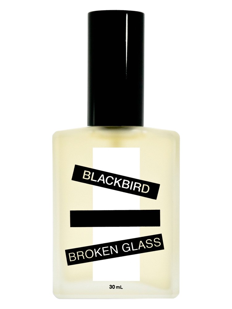 Broken Glass Blackbird perfume - a fragrance for women and men 2015