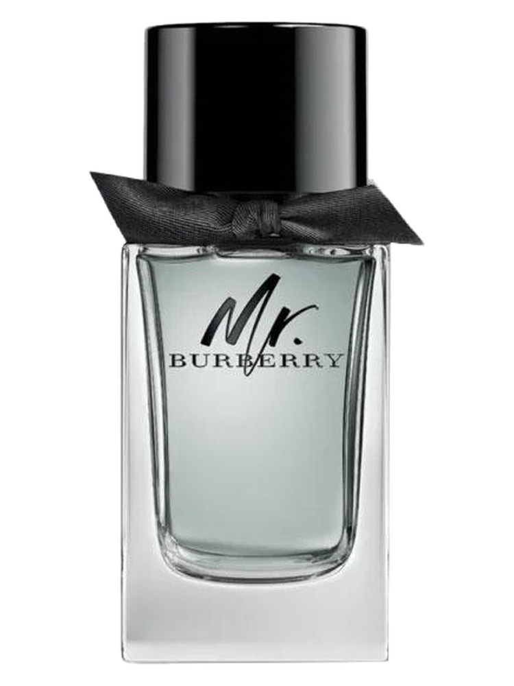 Mr. Burberry Burberry cologne - a fragrance for men 2016