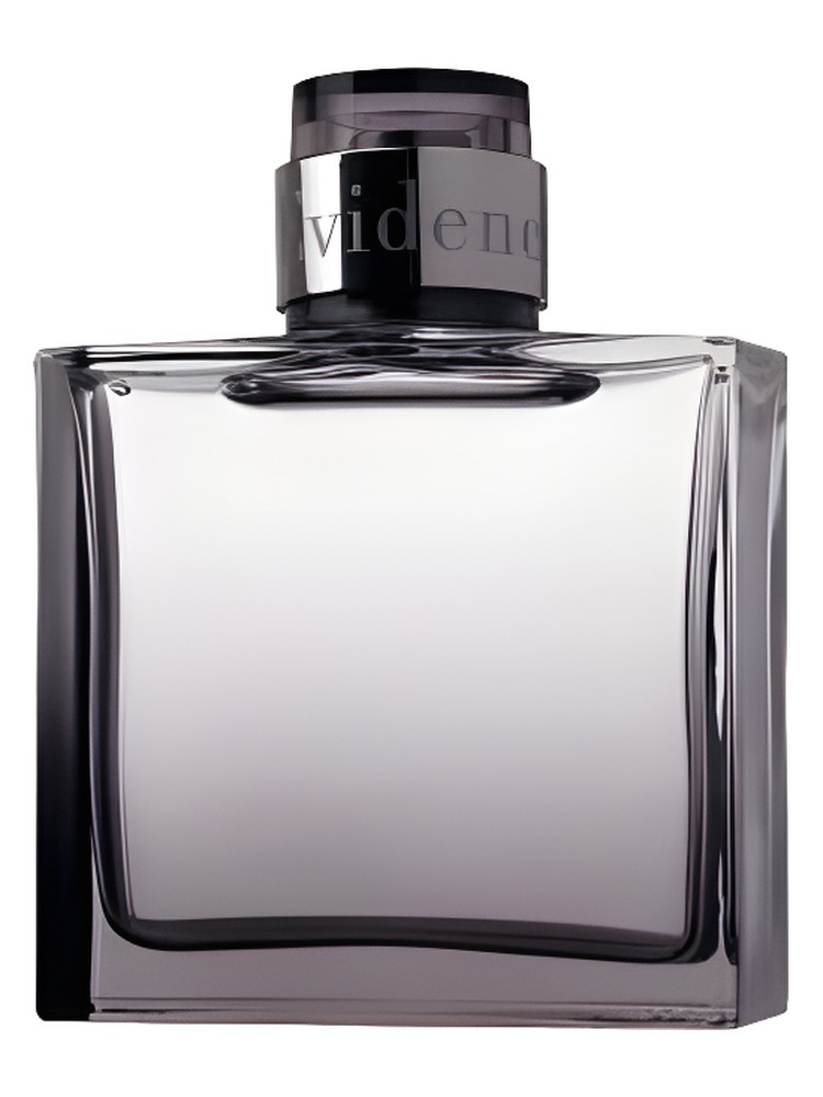 Comme une Evidence Homme Yves Rocher cologne - a fragrance for men 2008