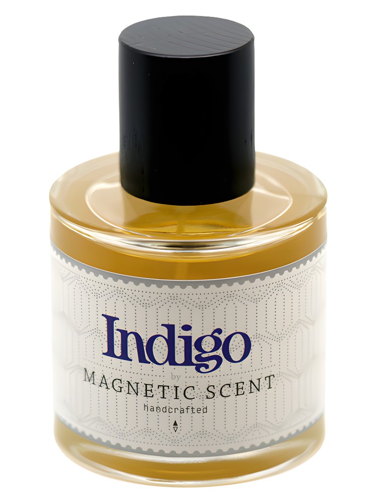 Indigo Magnetic Scent perfume - a fragrance for women and men 2012