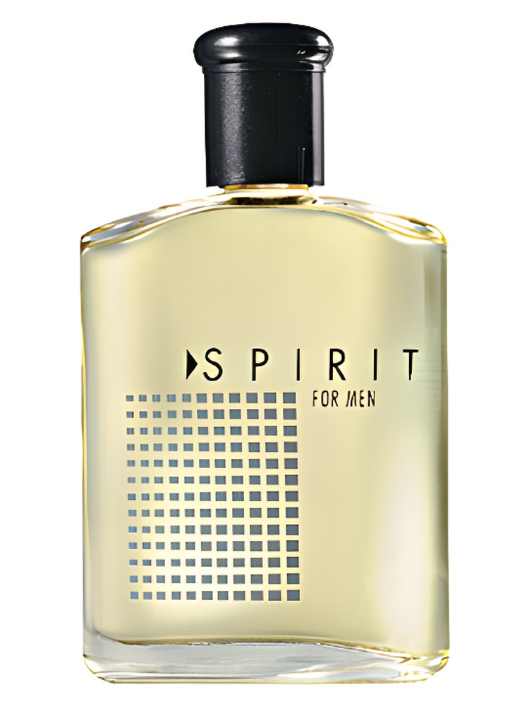 Spirit for Men Avon cologne - a fragrance for men 2005