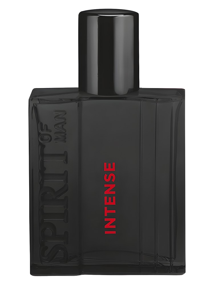 Spirit of Man Intense Spirit cologne - a fragrance for men 2013