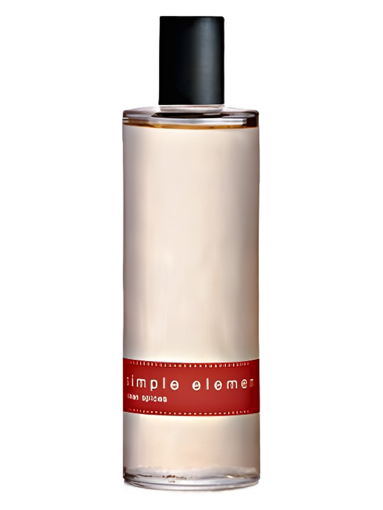 Simple Elements Clean Spices Avon cologne - a fragrance for men 2009