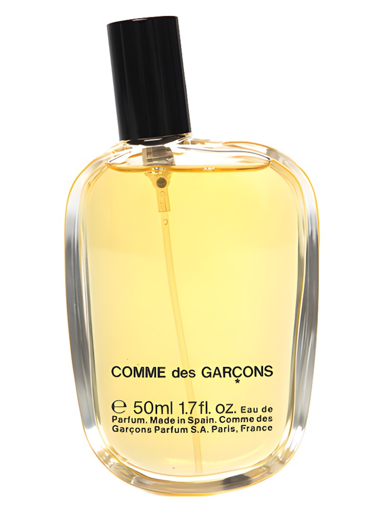 Comme des Garcons Comme des Garcons fragancia - una fragancia para ...