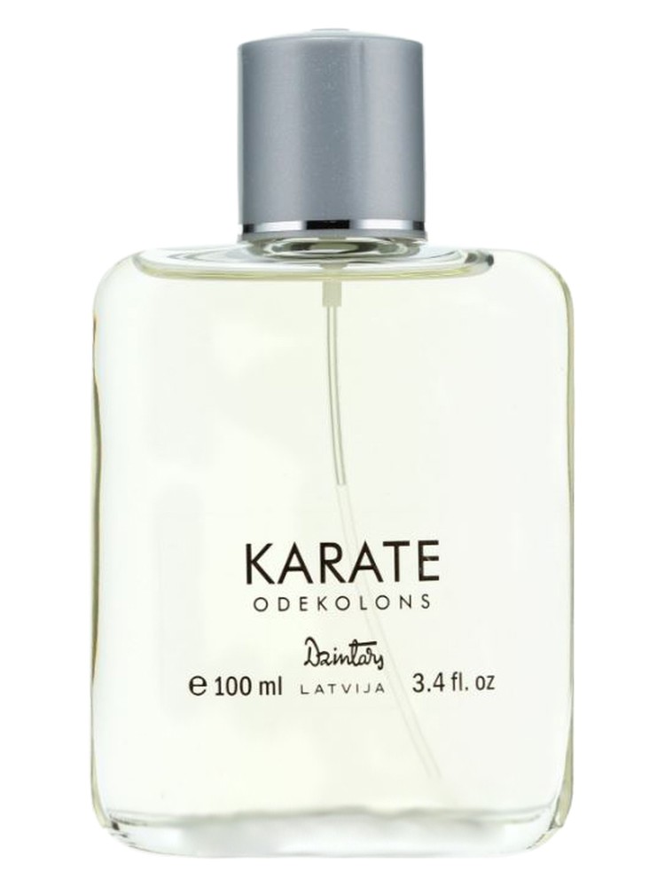 Karate Dzintars cologne - a fragrance for men 2010