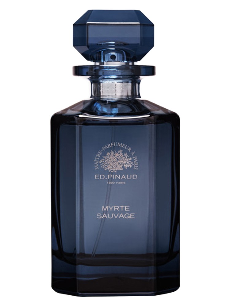 Myrte Sauvage Ed Pinaud cologne - a fragrance for men 2015