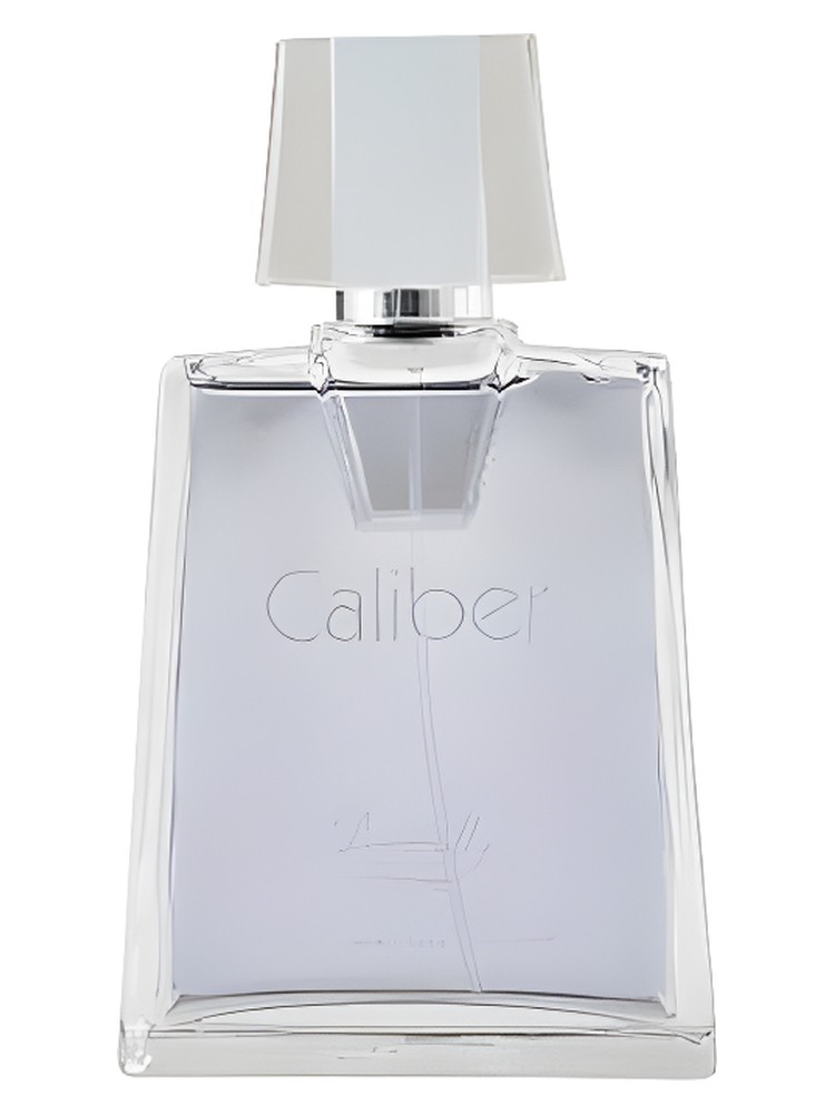 Caliber Parisvally Perfumes cologne - a fragrance for men