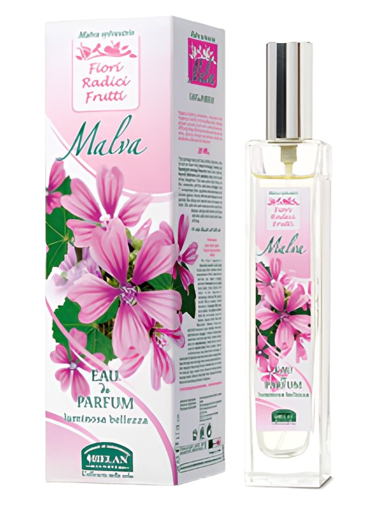 Malva Helan perfume - a fragrance for women