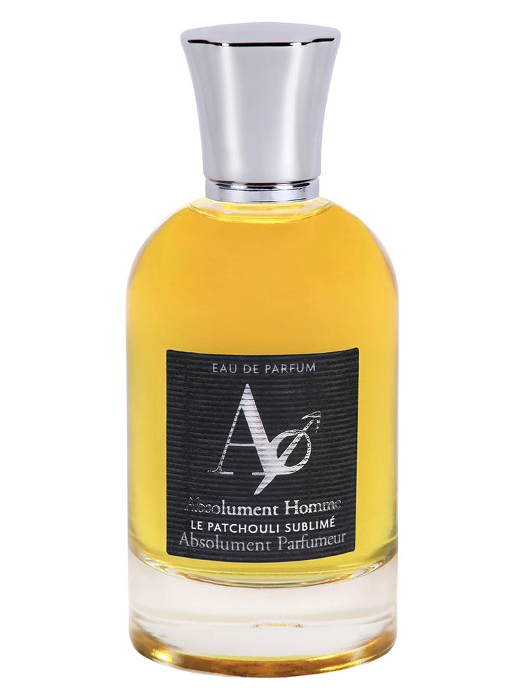Absolument Homme Absolument Parfumeur cologne - a fragrance for men 2007