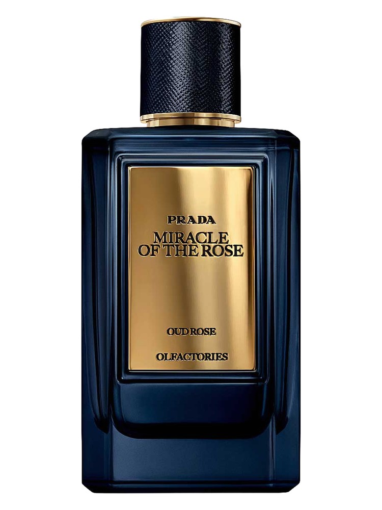 Mirages Miracle of the Rose Prada perfume - a fragrance for women and ...