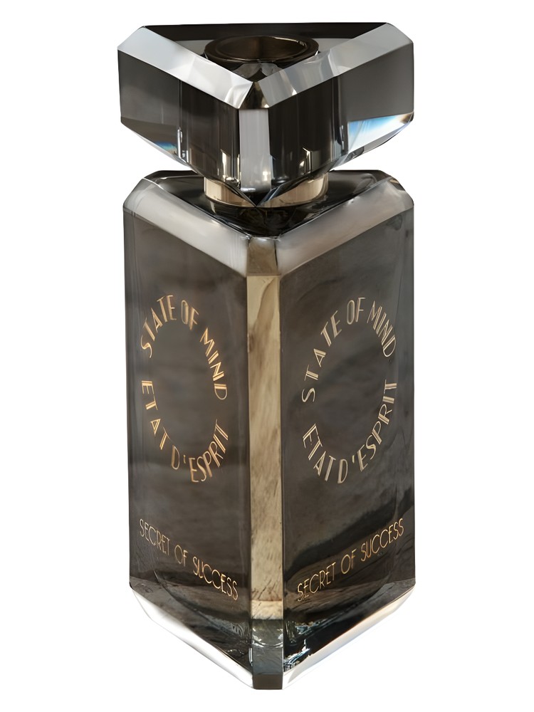 Secret of Success State of Mind perfume - a fragrância Compartilhável 2017