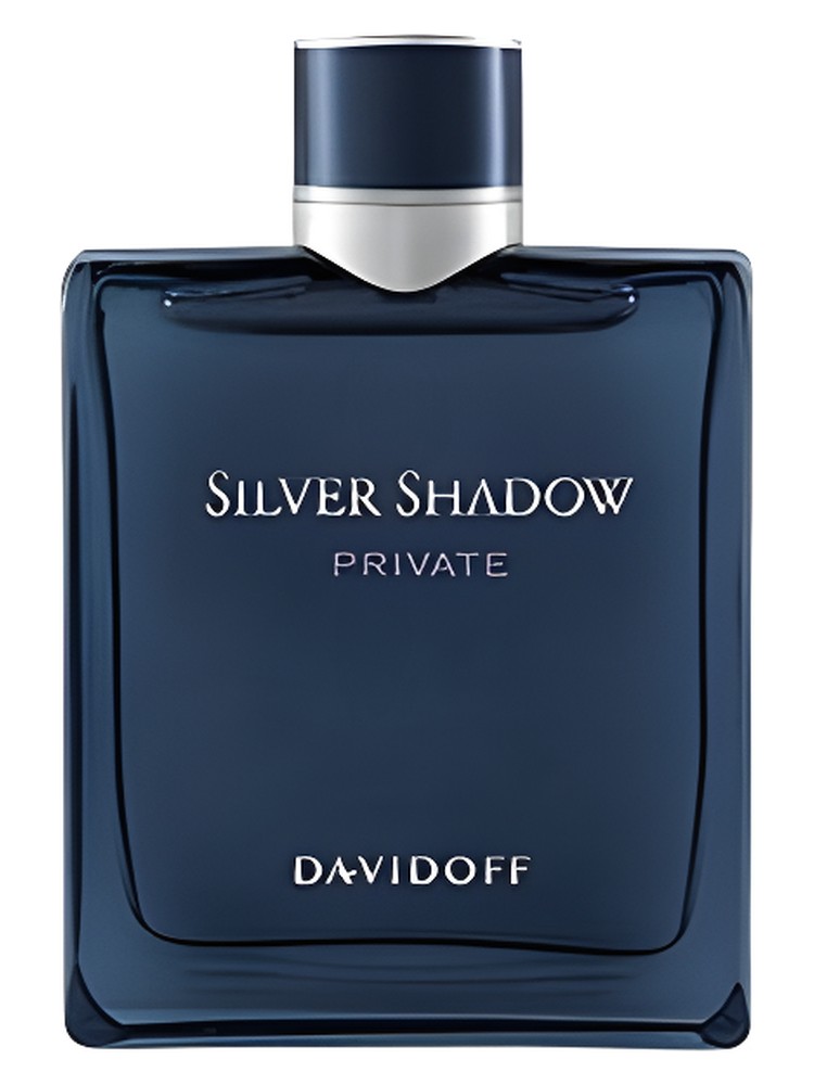 Silver Shadow Private Davidoff cologne - a fragrance for men 2008