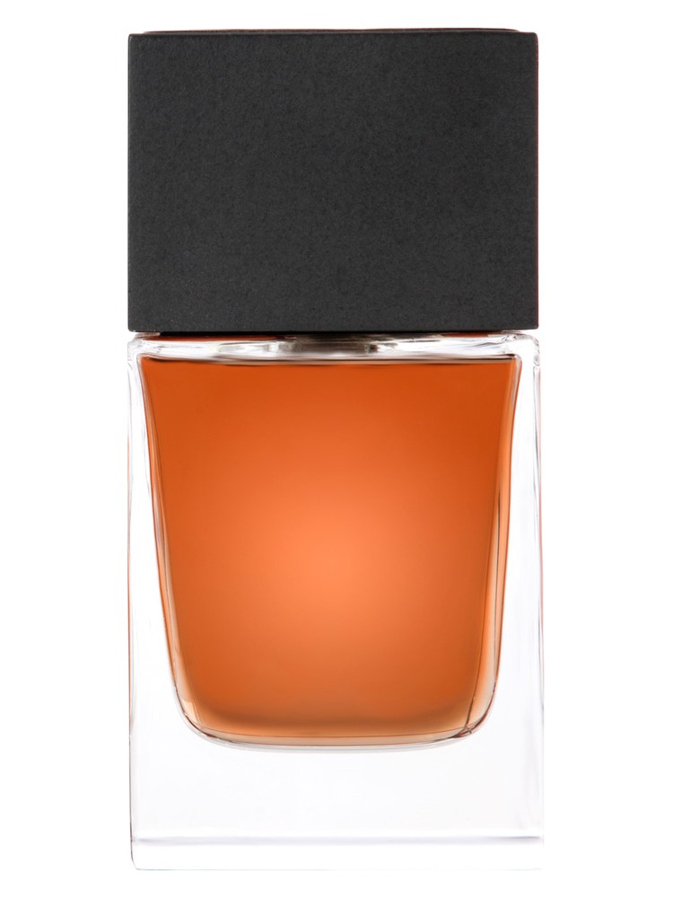 Amber Absolute De Leon cologne - a fragrance for men 2017