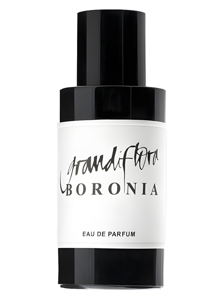 Boronia Grandiflora perfume - a fragrance for women and men 2017