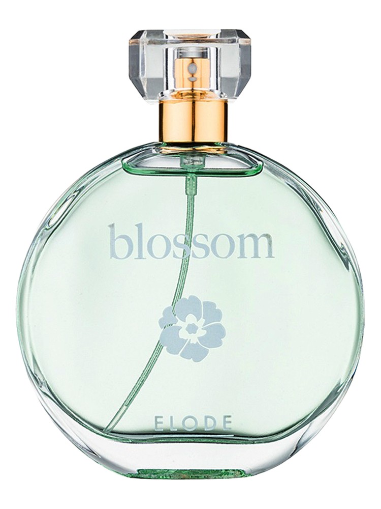 Blossom Elode perfume - a fragrance for women