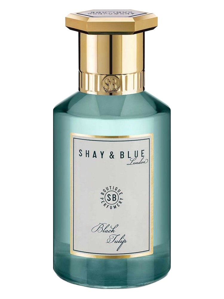 Black Tulip Shay & Blue London perfume - a fragrance for women and men 2016