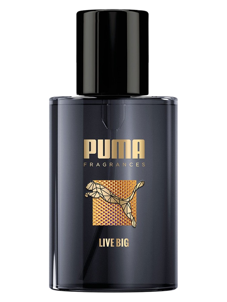 Live Big Puma cologne - a fragrance for men 2016