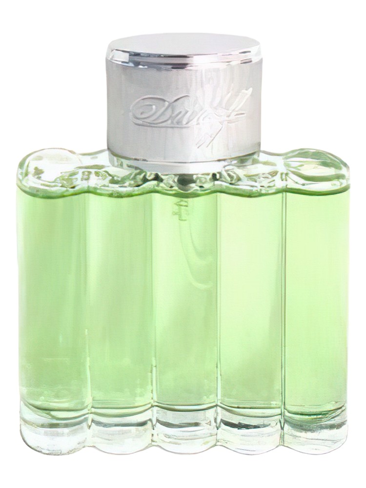 Good Life Davidoff cologne - a fragrance for men 1998