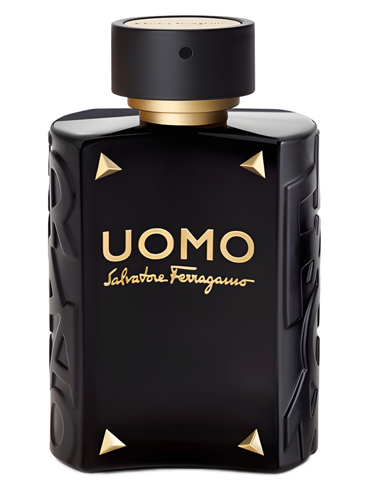 Uomo Salvatore Ferragamo Limited Edition Salvatore Ferragamo cologne ...