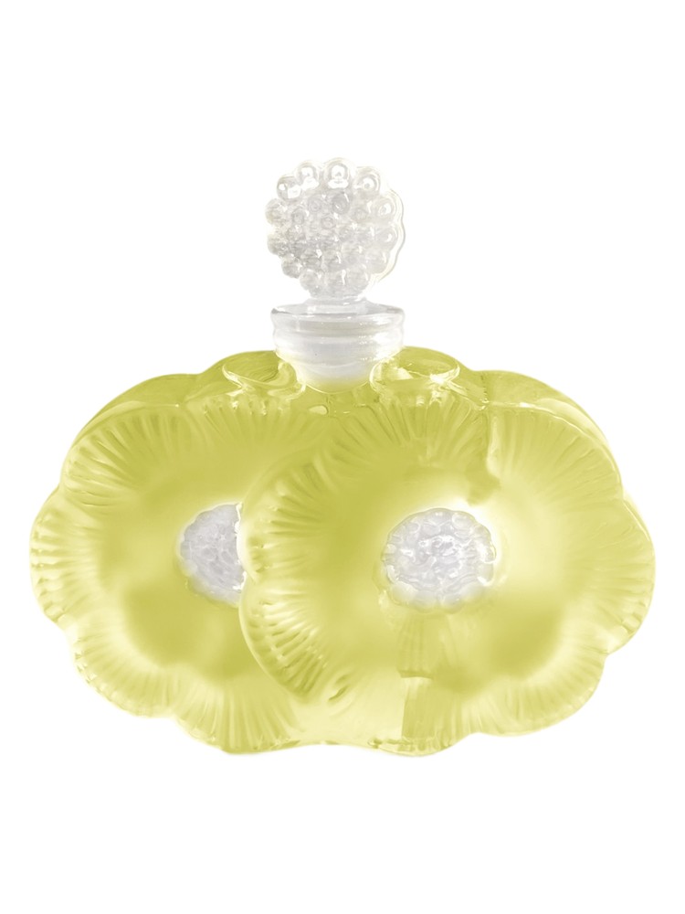 Paradis Provence Shalini perfume - a fragrance for women and men 2019