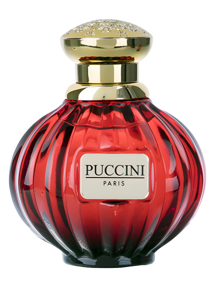 Puccini Le Rouge Puccini Paris cologne - a fragrance for men 2017