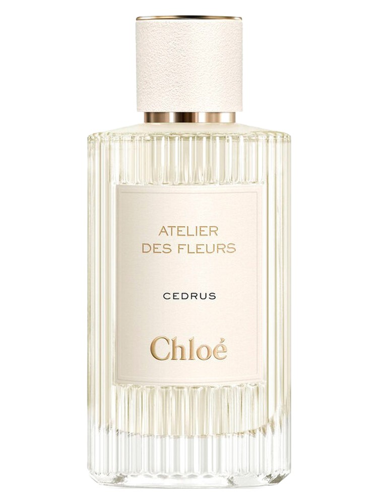 Cedrus Chloé perfume - a fragrance for women and men 2019