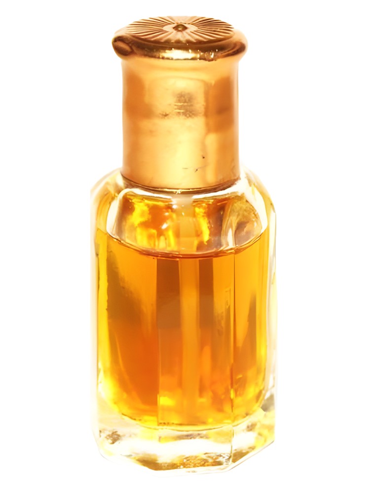 Caribbean Coconut Paradise Perfumes and Gems perfume - a fragrance for ...