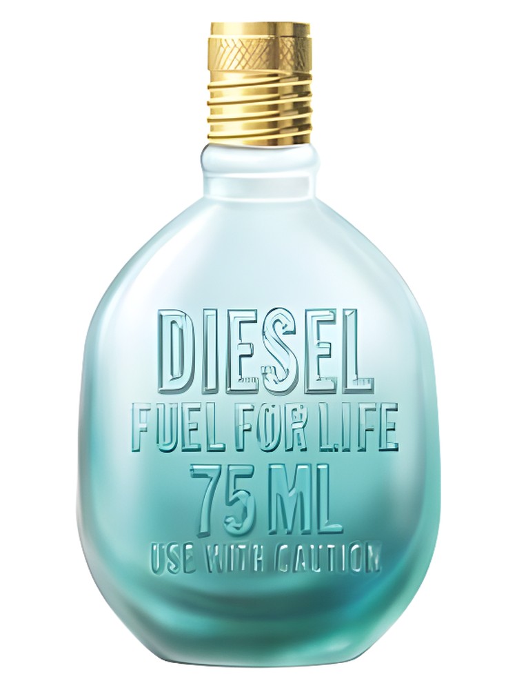 Fuel For Life He Summer Diesel cologne - a fragrance for men 2009