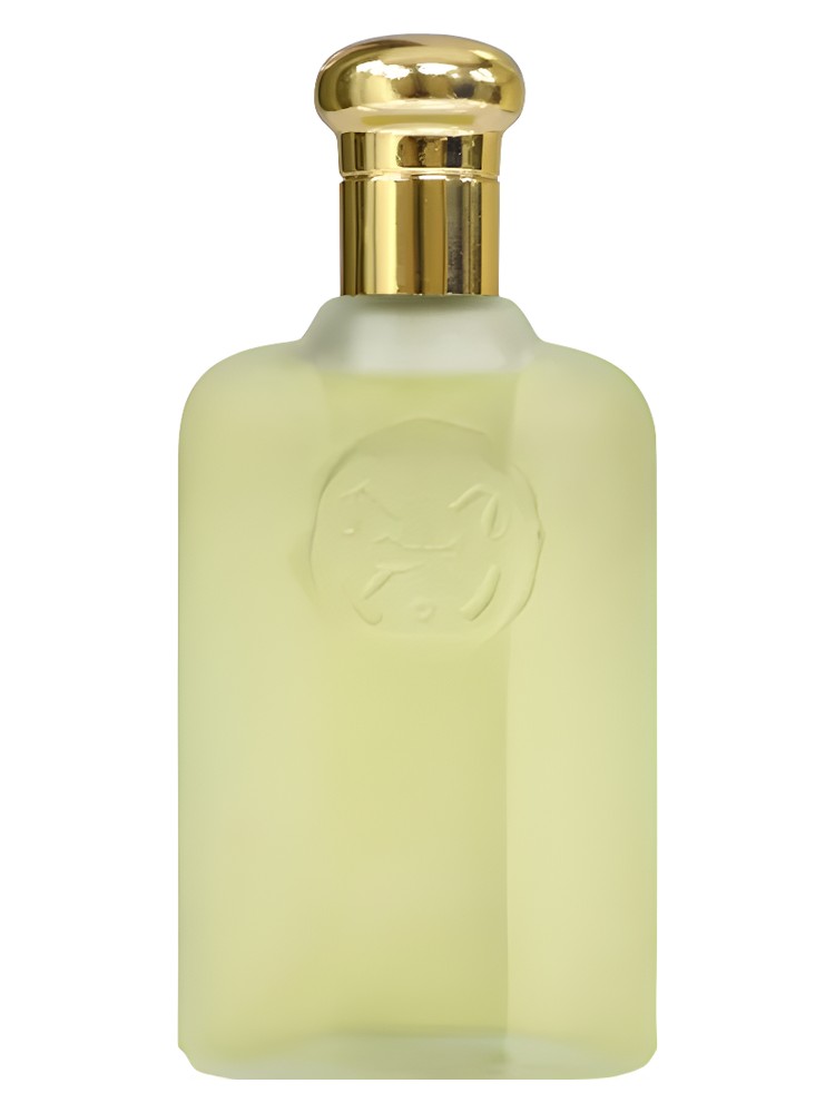 Play Polo Play cologne - a fragrance for men 2014