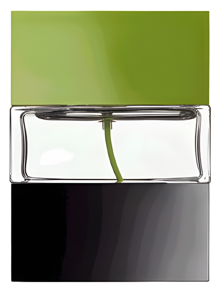 Creations Greenify MAC perfume - a fragrance for women and men 2006