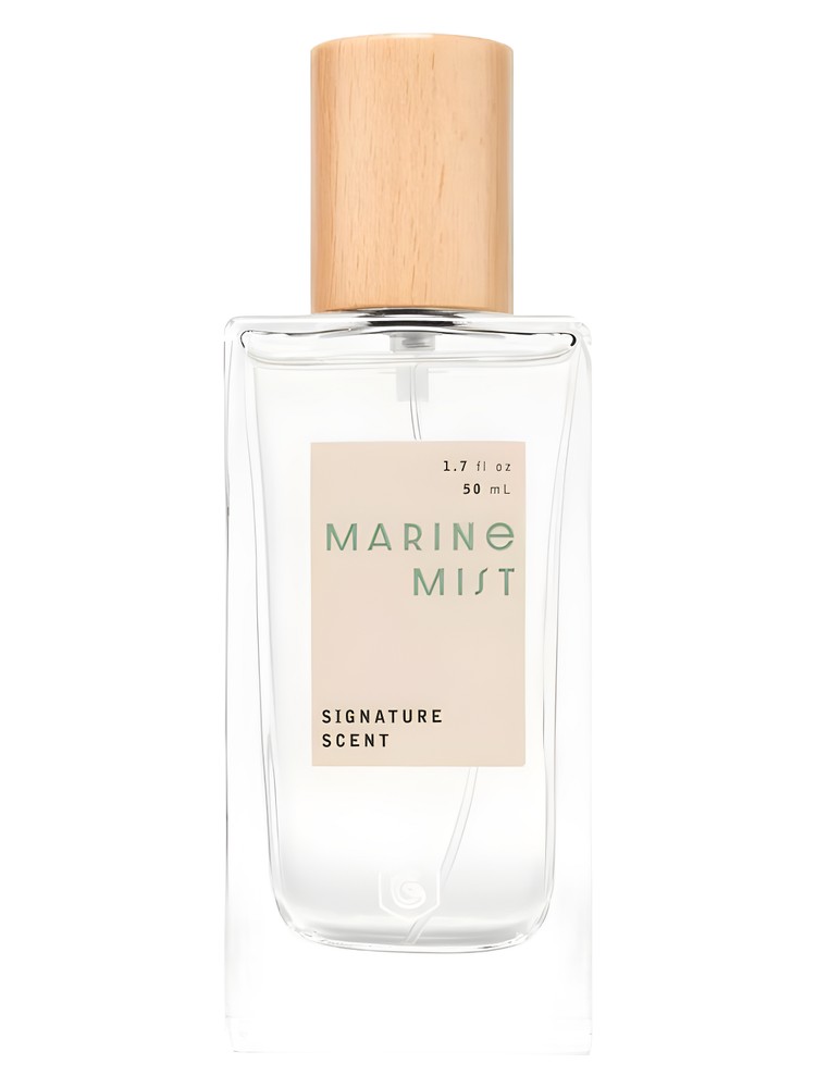 Marine Mist Good Chemistry perfume - a fragrance for women and men 2020
