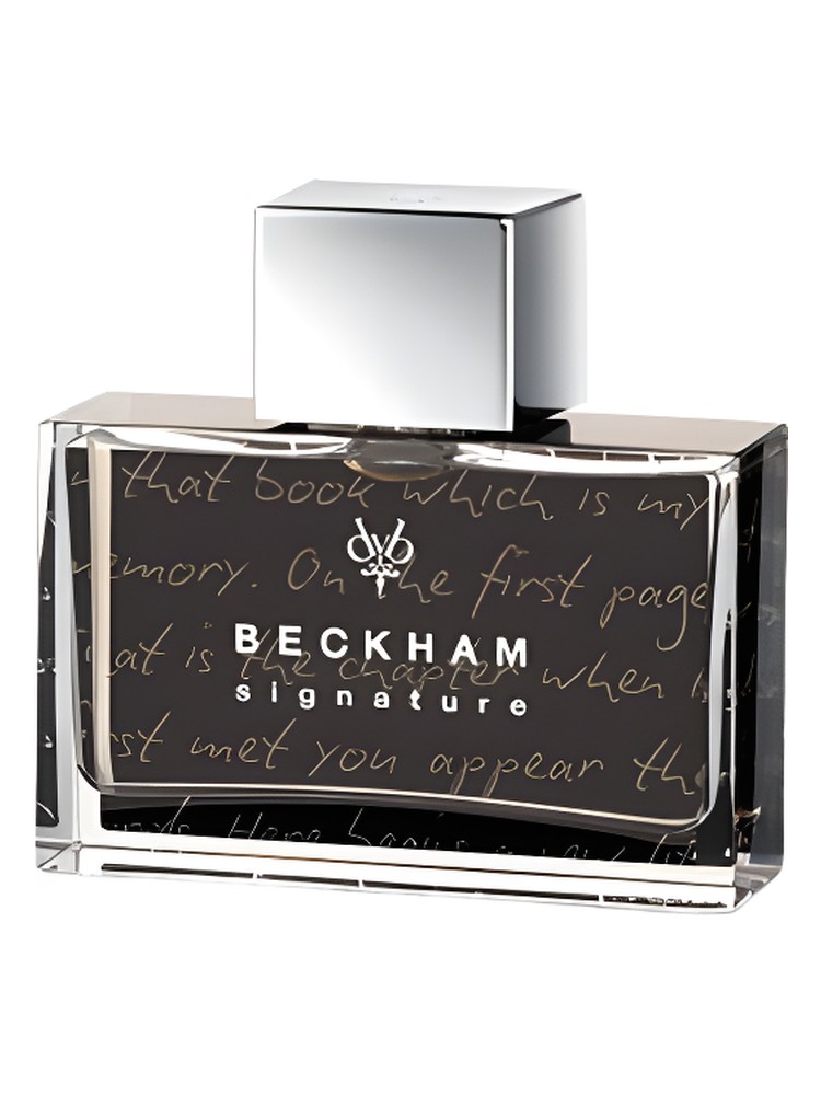 Signature Story for Him David Beckham Colonia - una fragancia para ...