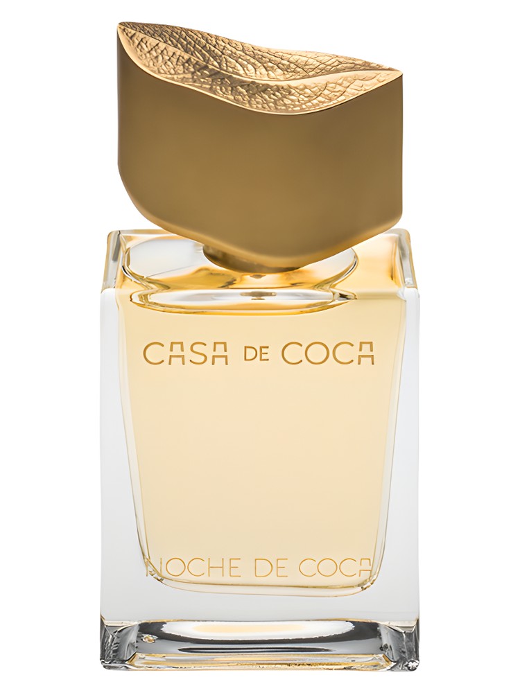 Noche de Coca Casa de Coca perfume - a fragrance for women and men 2021