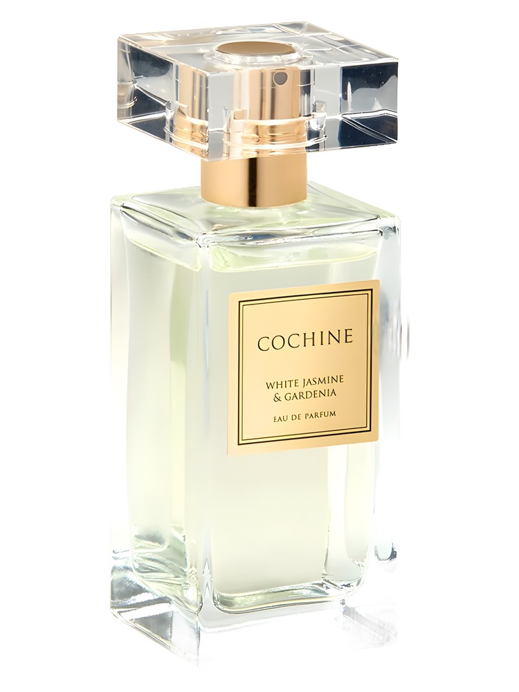 White Jasmine & Gardenia COCHINE perfume - a fragrance for women and ...