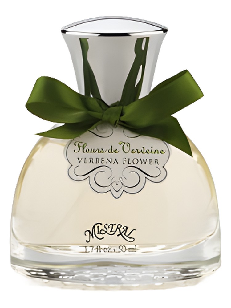 Verbena Flower Mistral perfume - a fragrance for women
