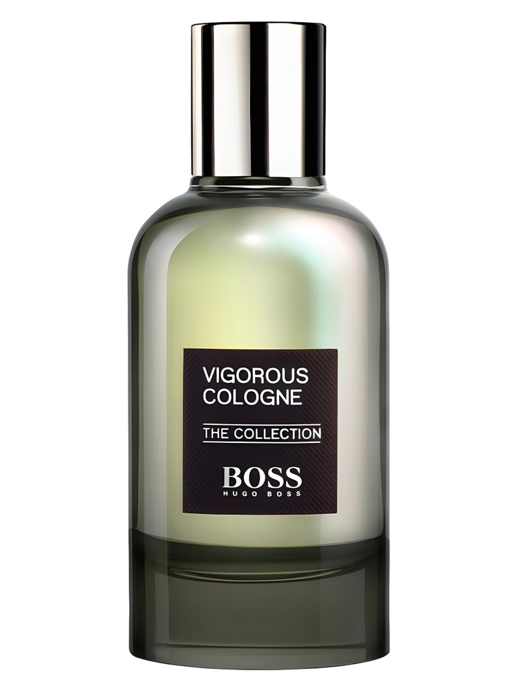 The Collection Vigorous Cologne Hugo Boss cologne - a fragrance for men ...
